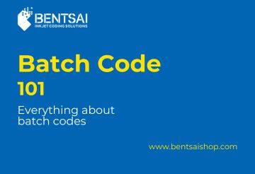 Basic Knowledge about Batch Codes